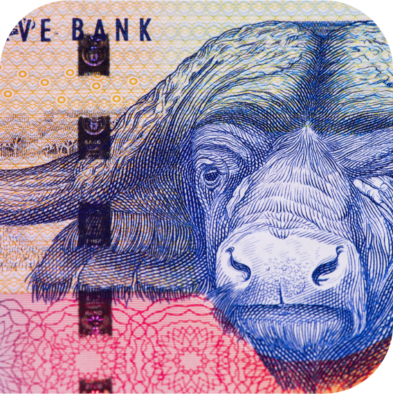 TorFX App | Secure 24/7 Currency Transfers & Live Exchange Rates