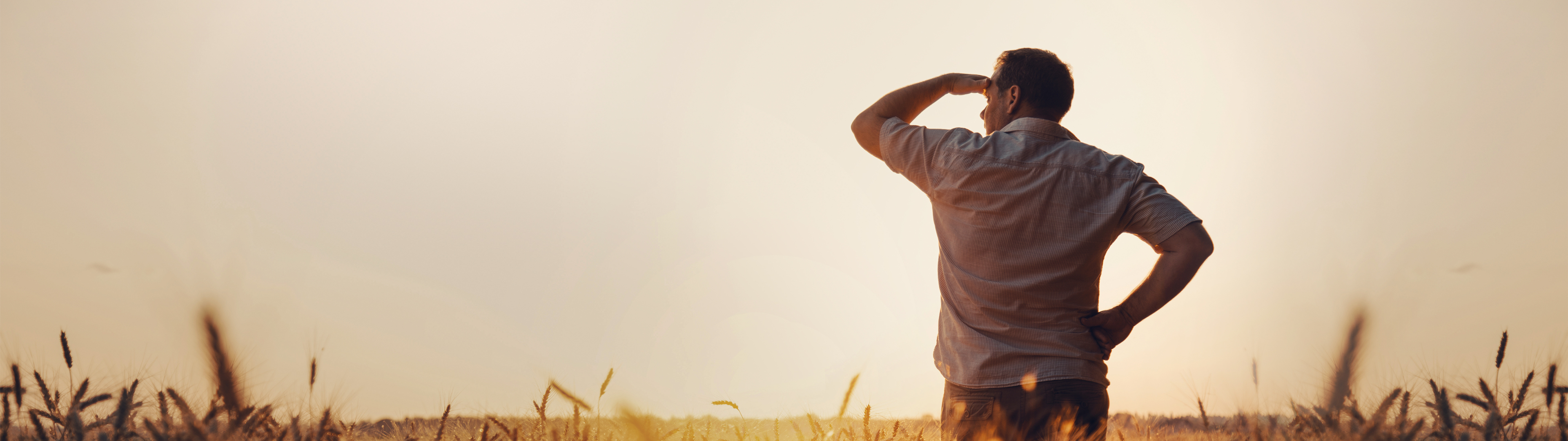 The five core values of our company | La Lorraine Bakery Group | La ...