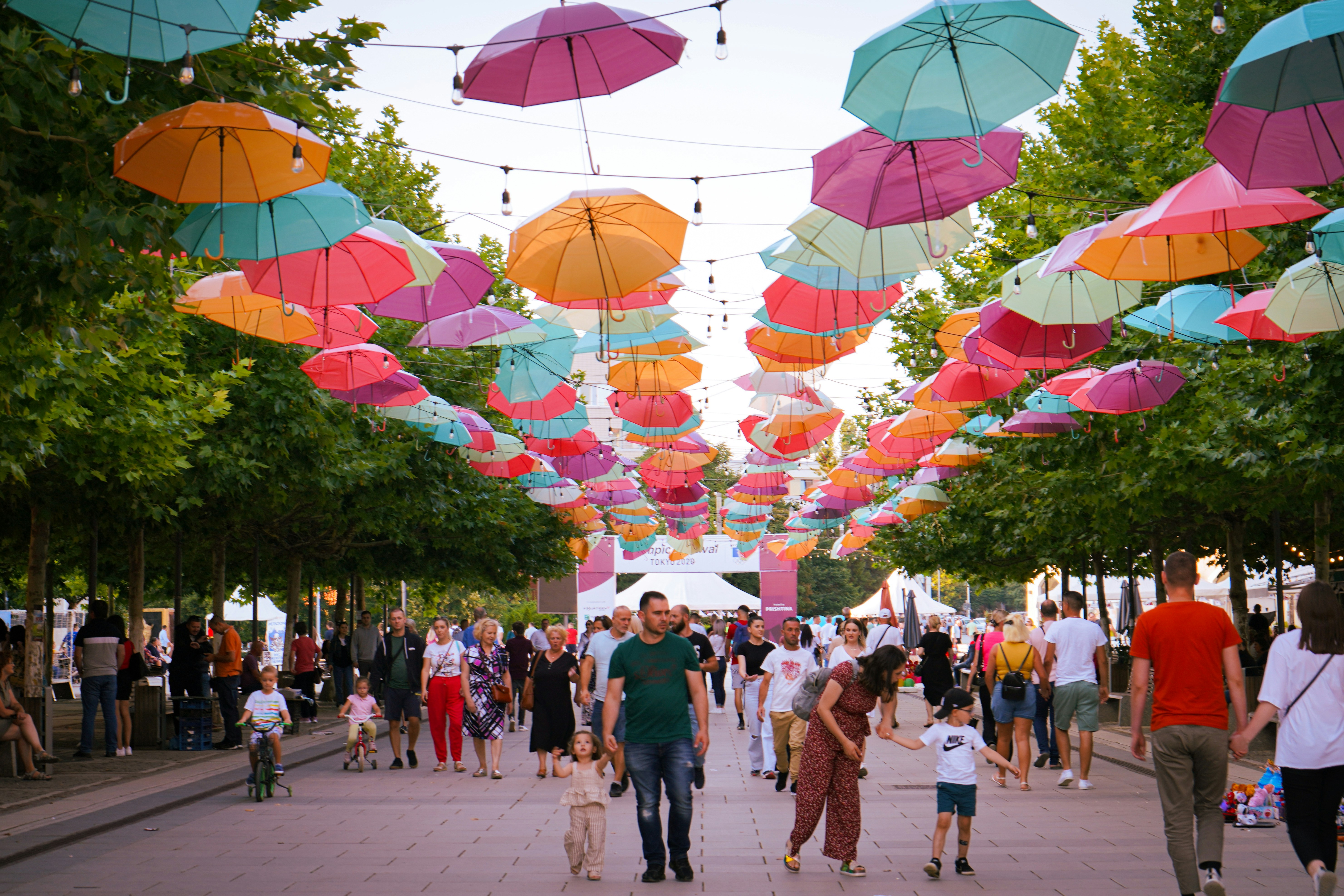 Project Management in the Public Sector