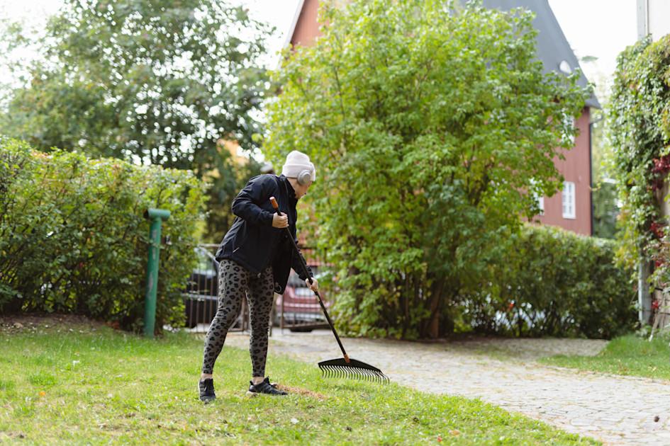 Peräaukon haavauma eli fissuura