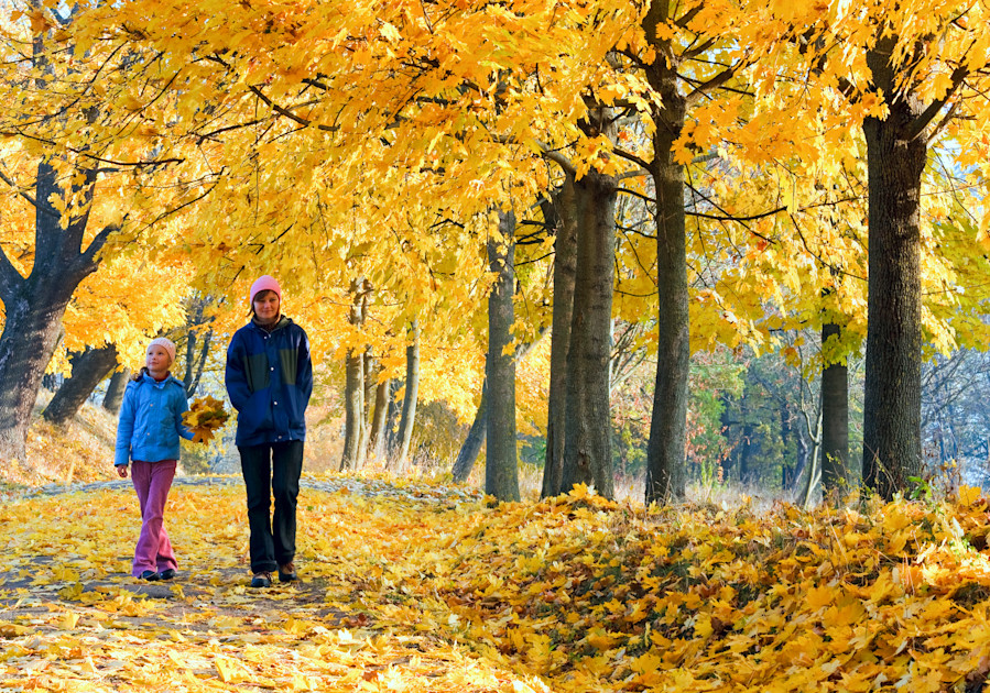 Guide för egenvård vid systemisk skleros, det vill sägä sklerodermi