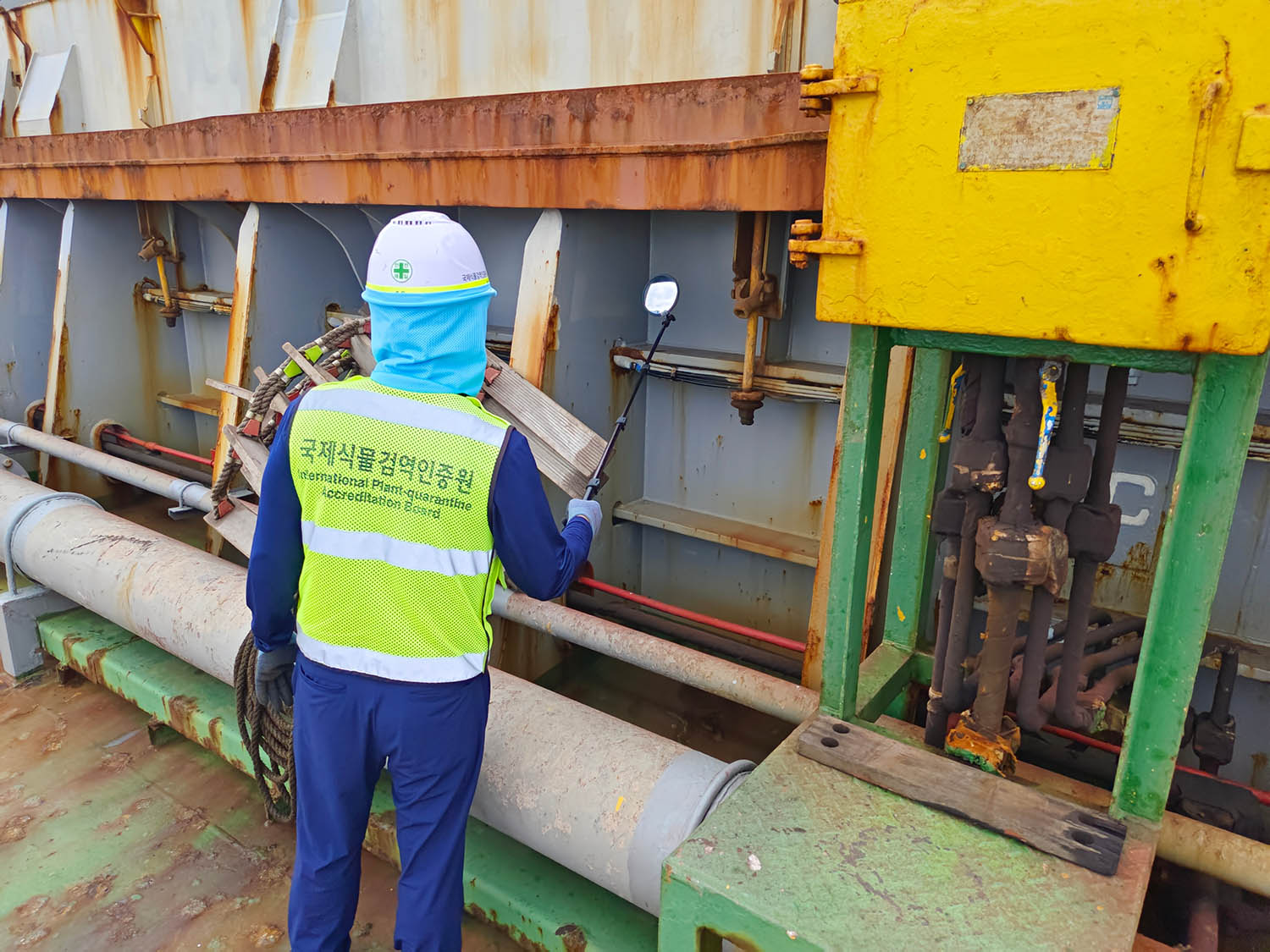 Managing Flighted Spongy Moth Complex risks | Gard's Insights