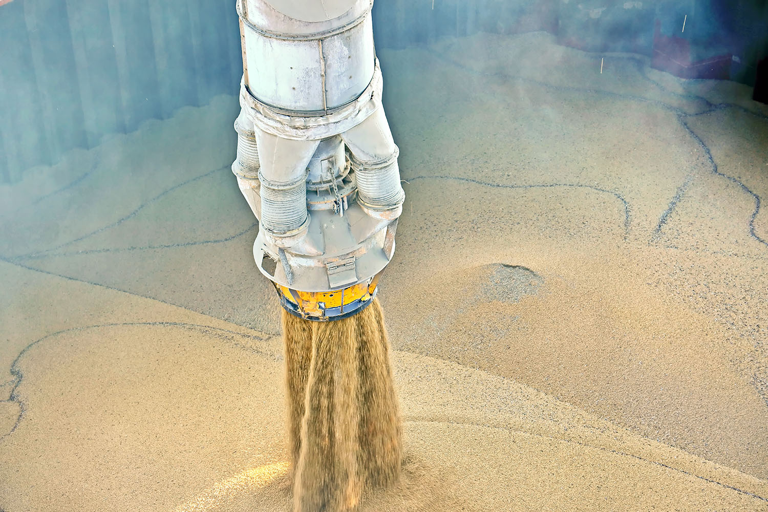 Master’s checklists for loading and carriage of soya beans | Gard's ...