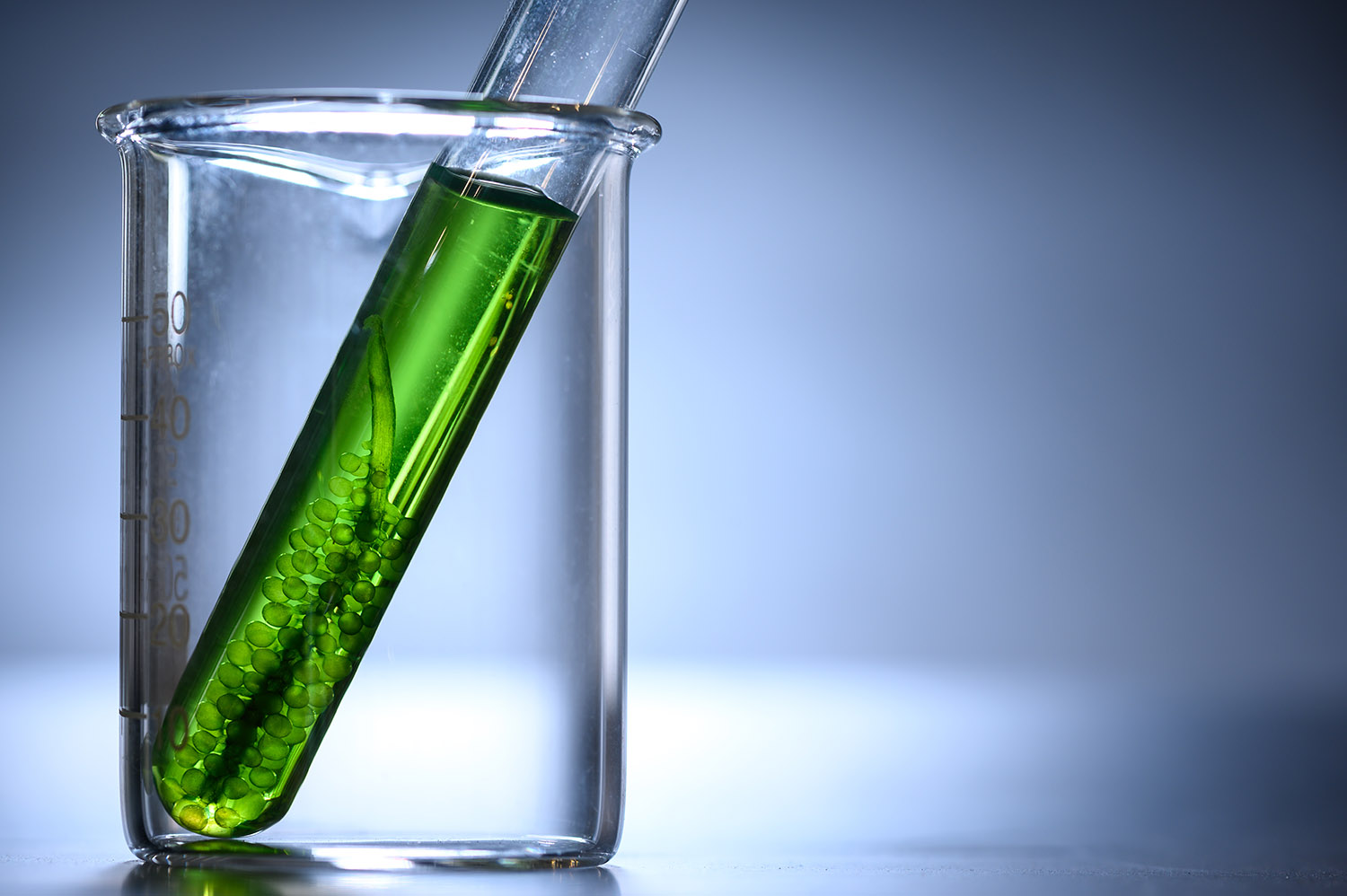 Biodiesel – new fuels, new challenges | Gard's Insights