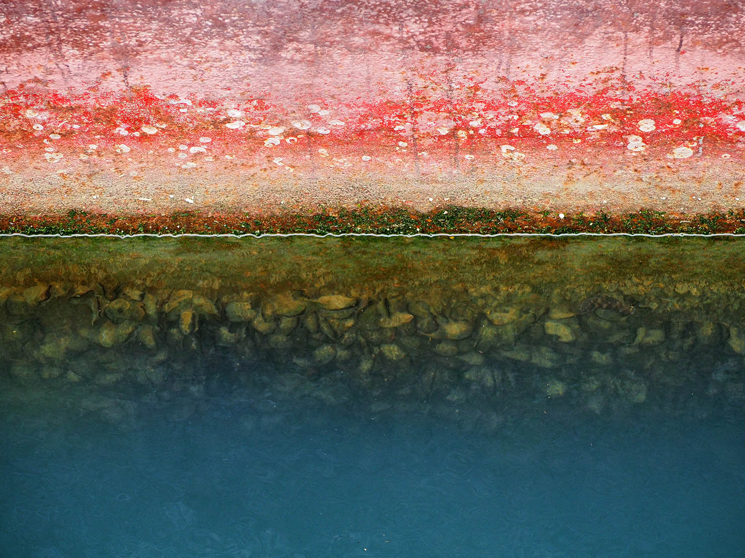 Biofouling management: the benefits of a clean hull | Gard's Insights