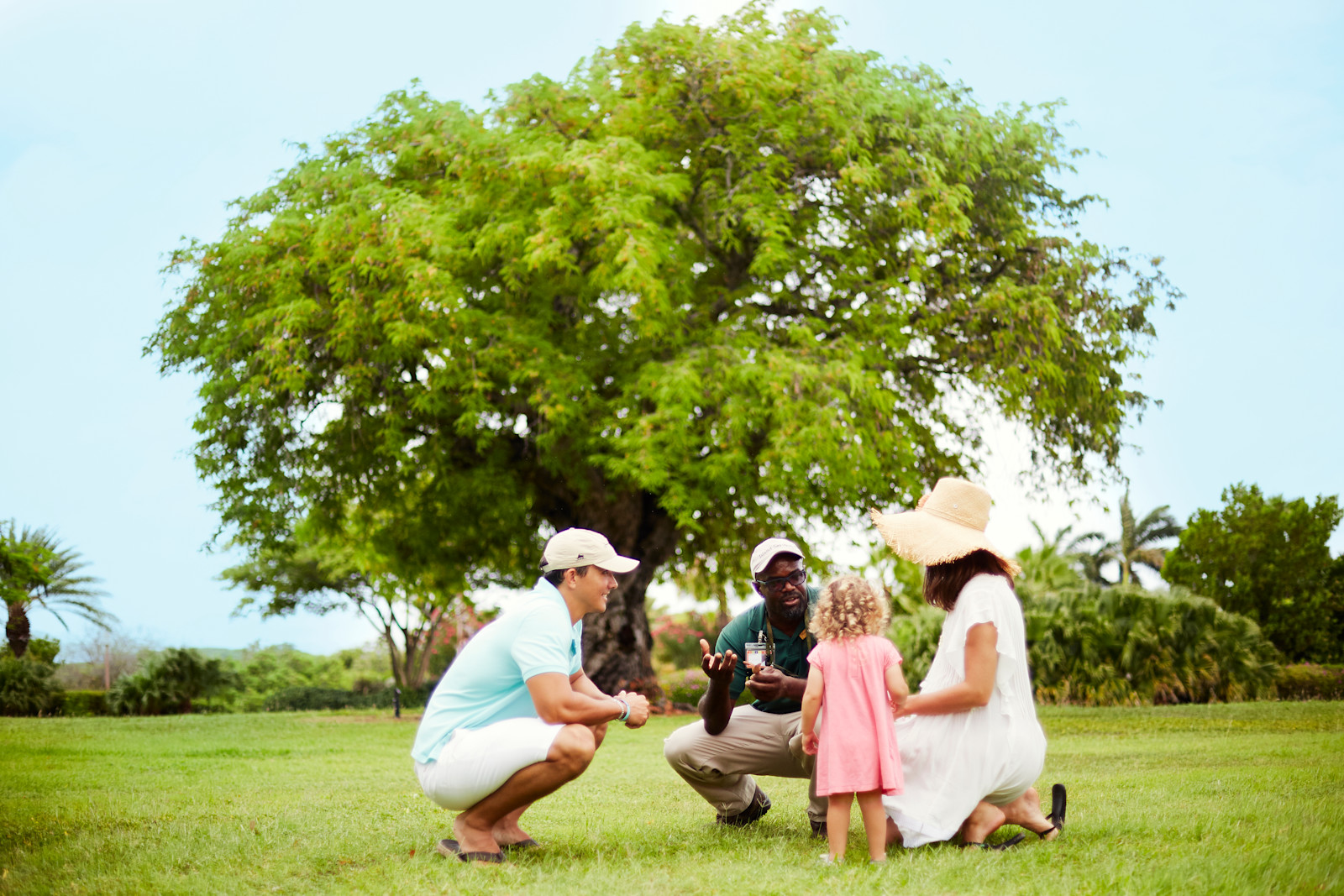 Nature Experience | Wildlife on Jumby Bay Island, off Antigua