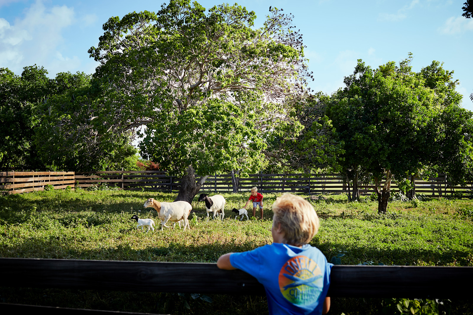 Kids Club | Family Activities in the Caribbean | Jumby Bay Island