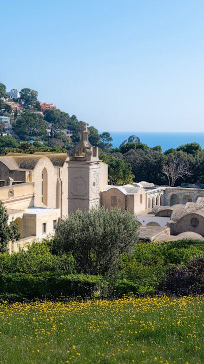 Photo & Video Gallery | Hotel La Palma, Capri