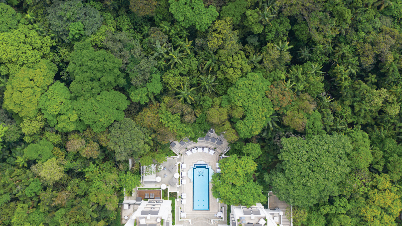 Stories from Palácio Tangará