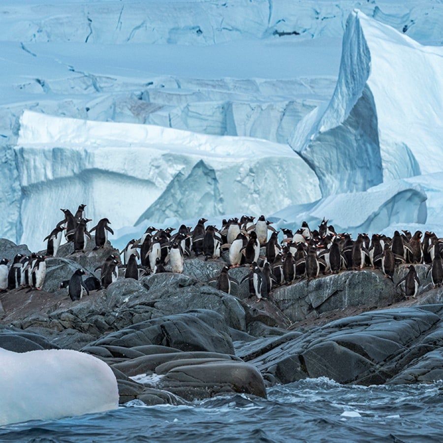 Alaska zodiac adventure & fin island lodge - Horoscopeaz.com