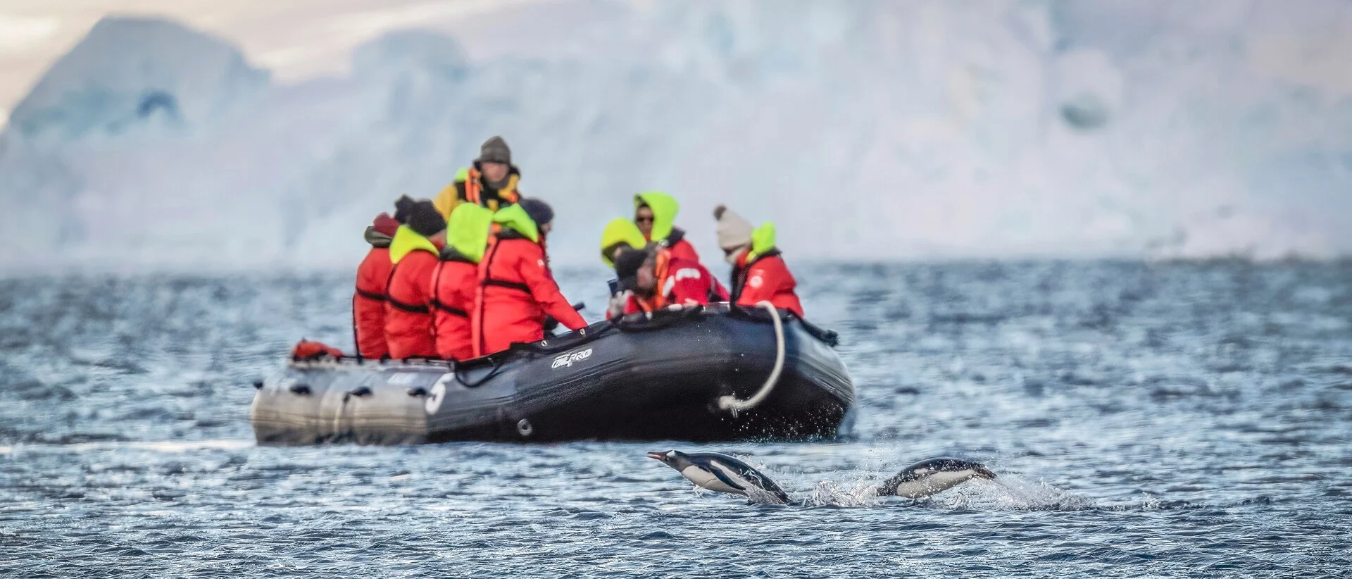 Get closer to nature with our small expedition boats | HX Hurtigruten ...