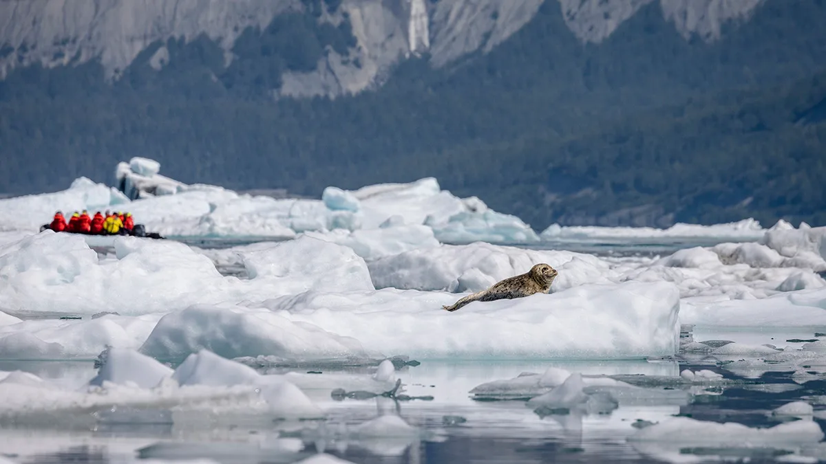 Alaska’s Inside Passage Cruise: Where the Mountains Meet the Sea 2026 ...