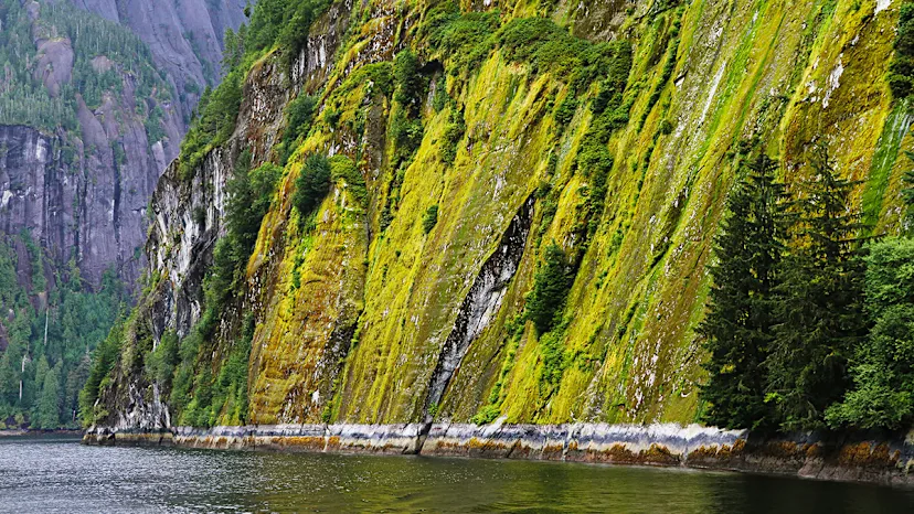 Alaska’s Inside Passage Cruise: Fjords of the Great Land 2027 | HX ...
