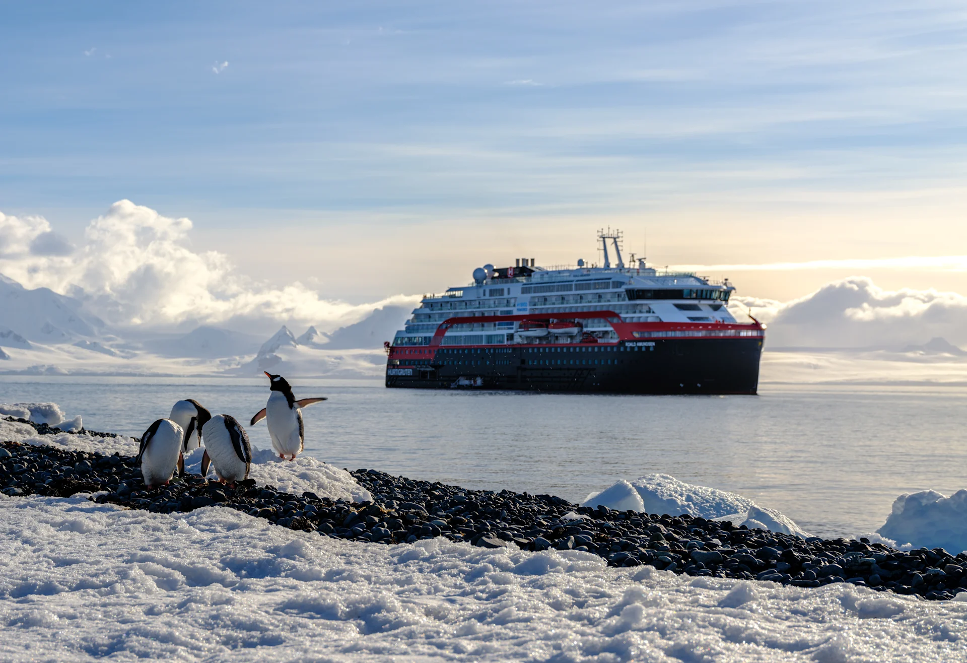 15 Interesting Facts About Antarctica | HX Hurtigruten Expeditions