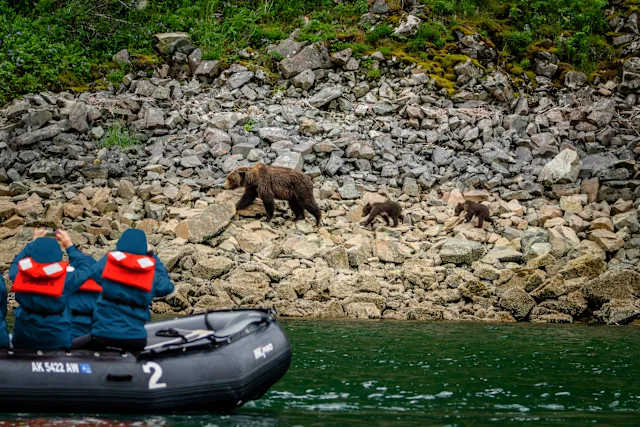 Geographic Harbour - Small Boat Cruising | HX Expeditions AU