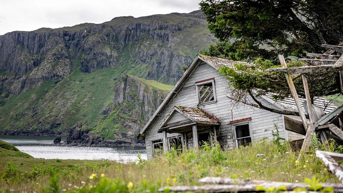 Alaska British Columbia Cruise Inside Passage Bears And Aleutian