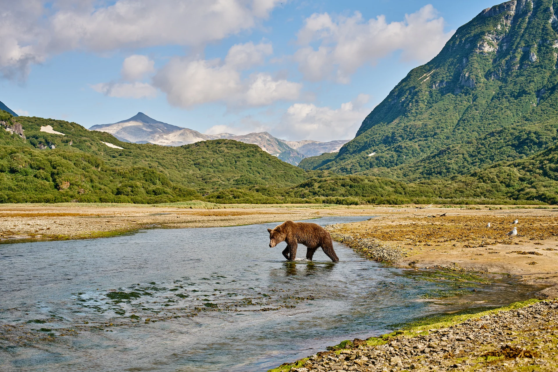 Alaska Cruise and Expedition 2025 2026 | HX Hurtigruten Expeditions US