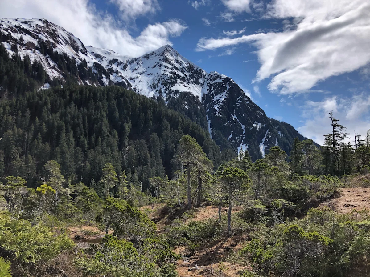 Sitka - Tongass National Forest Hike | HX Hurtigruten Expeditions US