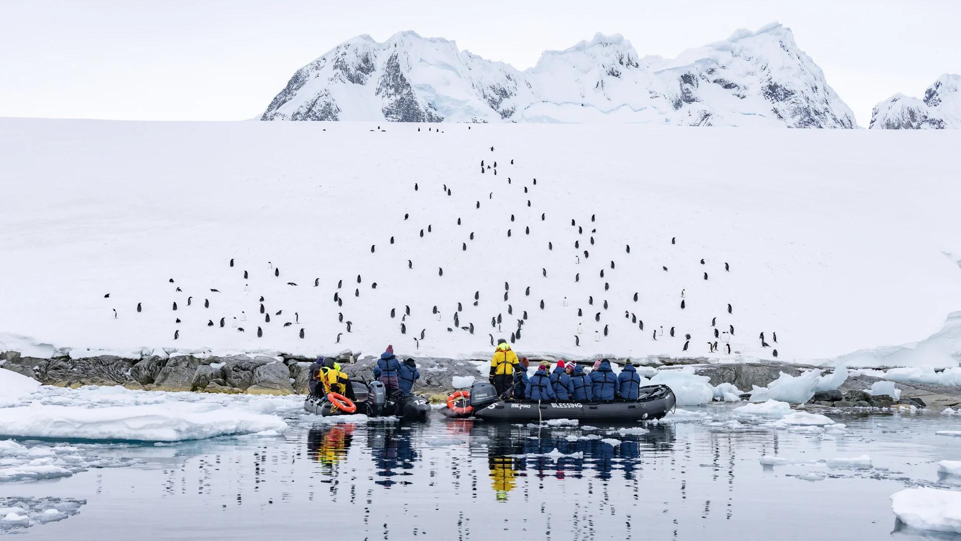What is Expedition Cruising? | HX Hurtigruten Expeditions US