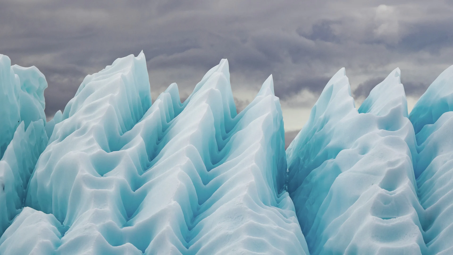 10 fascinating Antarctic features | HX Expeditions