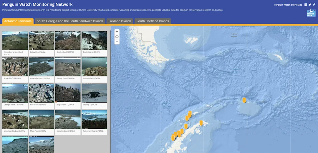 Penguin Watch | HX Hurtigruten Expeditions US