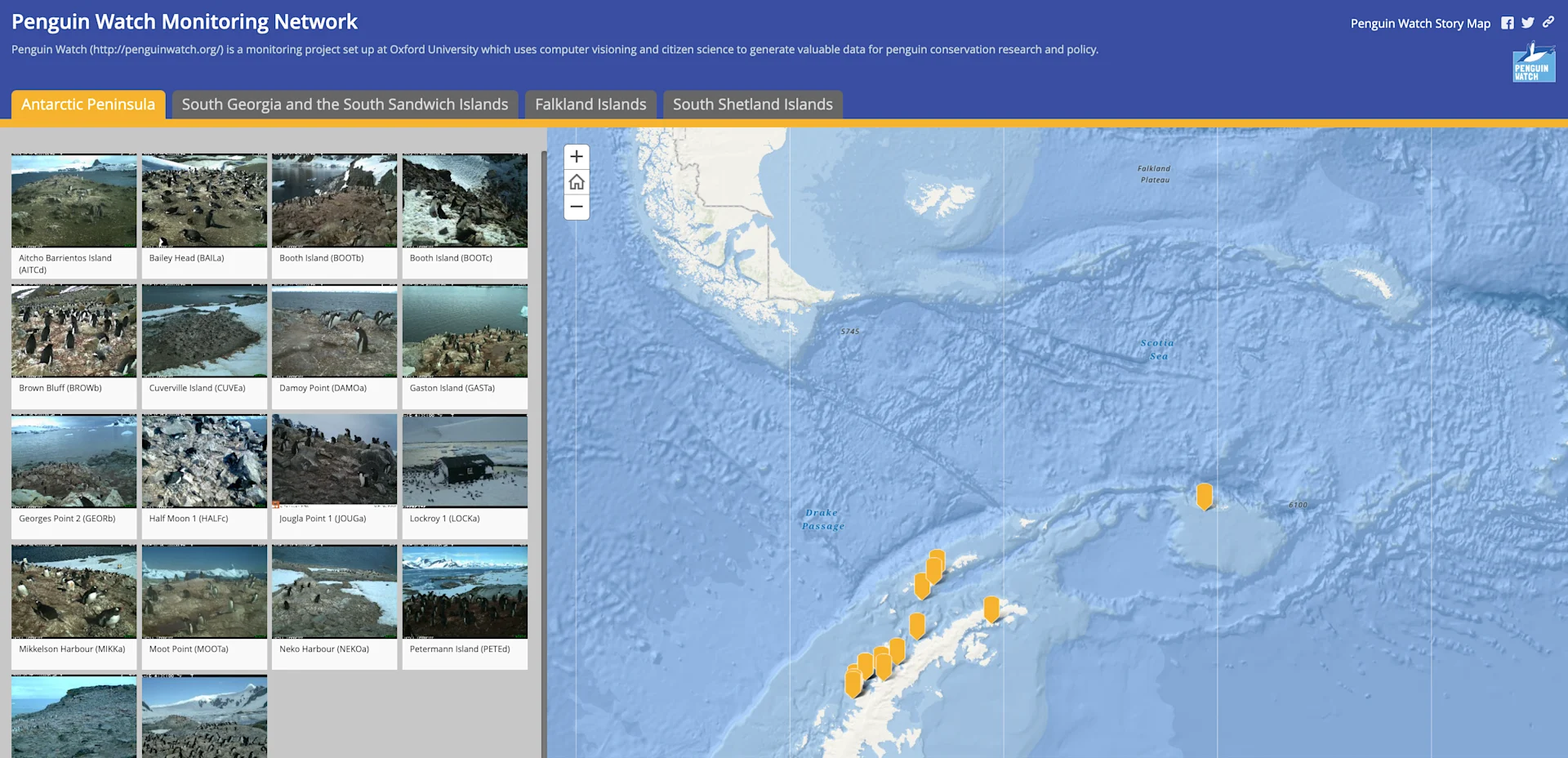 Penguin Watch | HX Hurtigruten Expeditions US