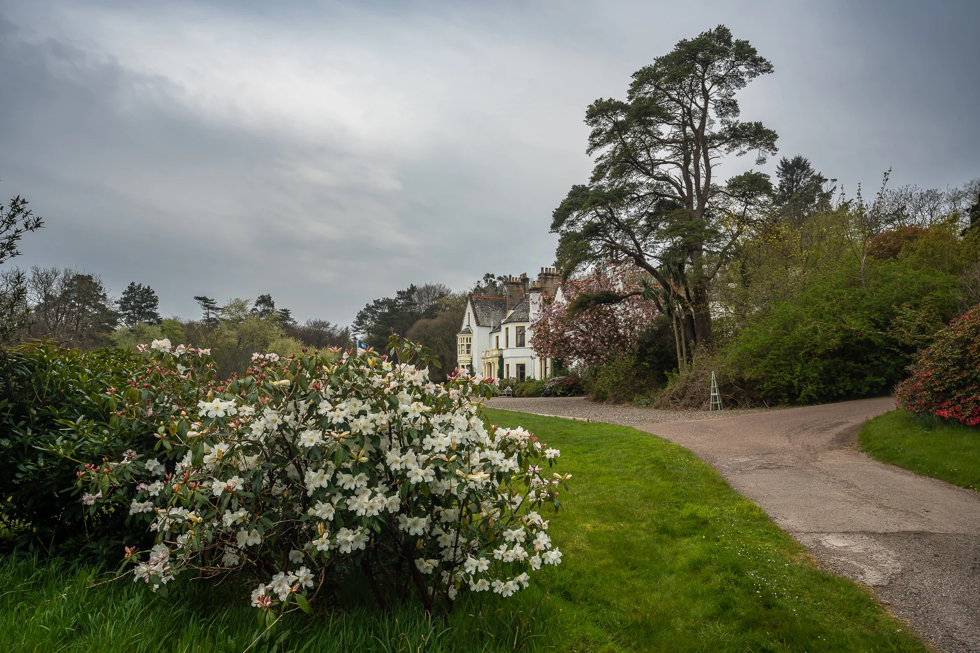 Achamore Gardens | HX Expeditions UK