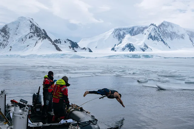 The Polar Plunge: A Rite of the Bold | HX Hurtigruten Expeditions US