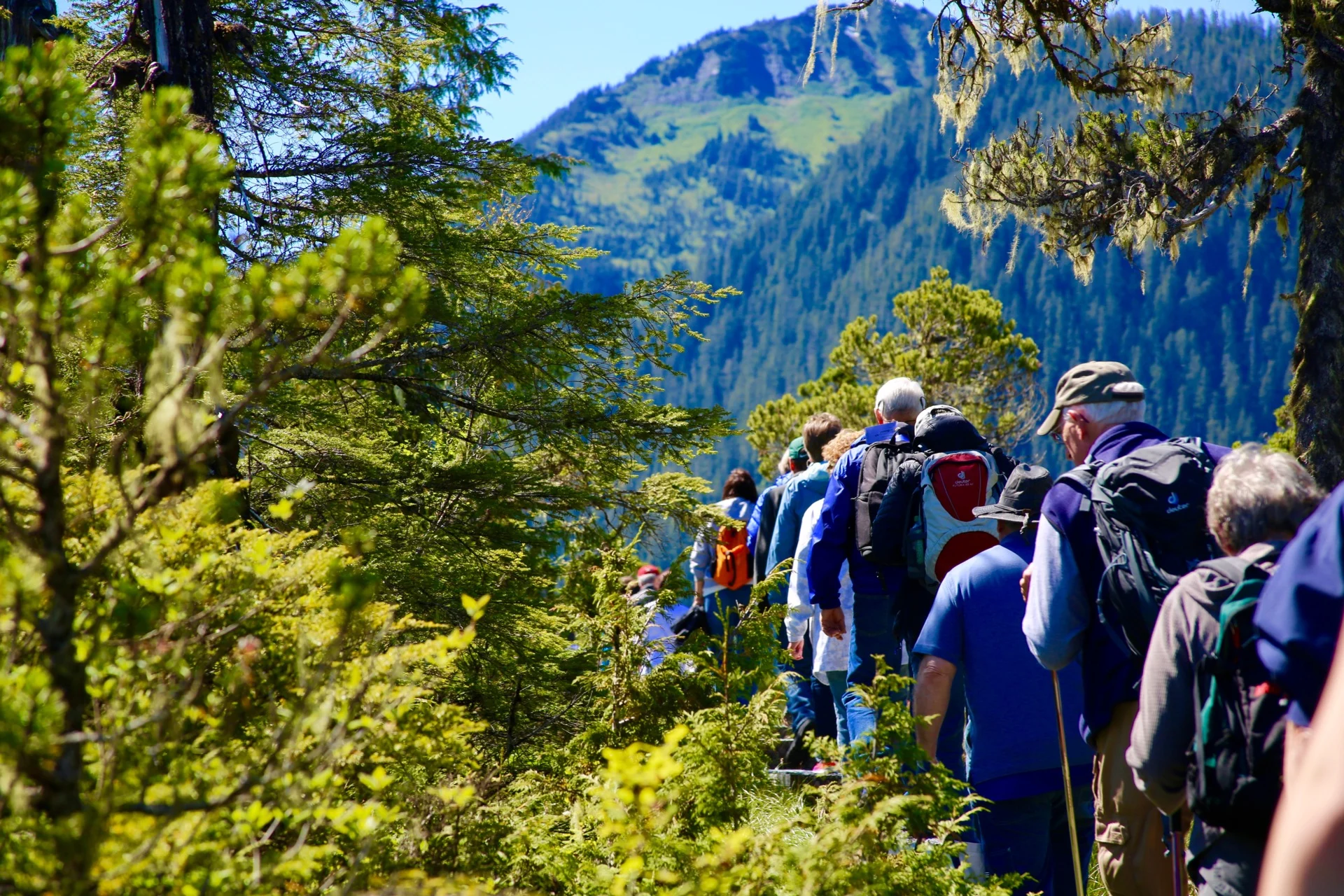 Haines - Mt. Riley Hike | HX Hurtigruten Expeditions US