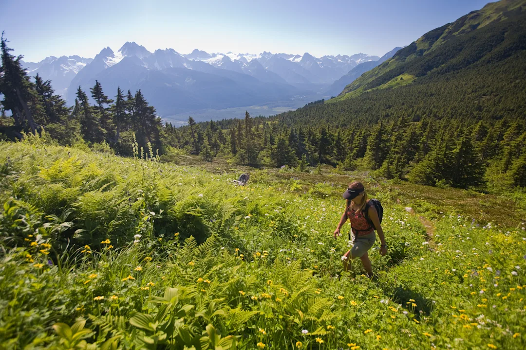 Alaska Cruise and Expedition 2025 2026 | HX Hurtigruten Expeditions US