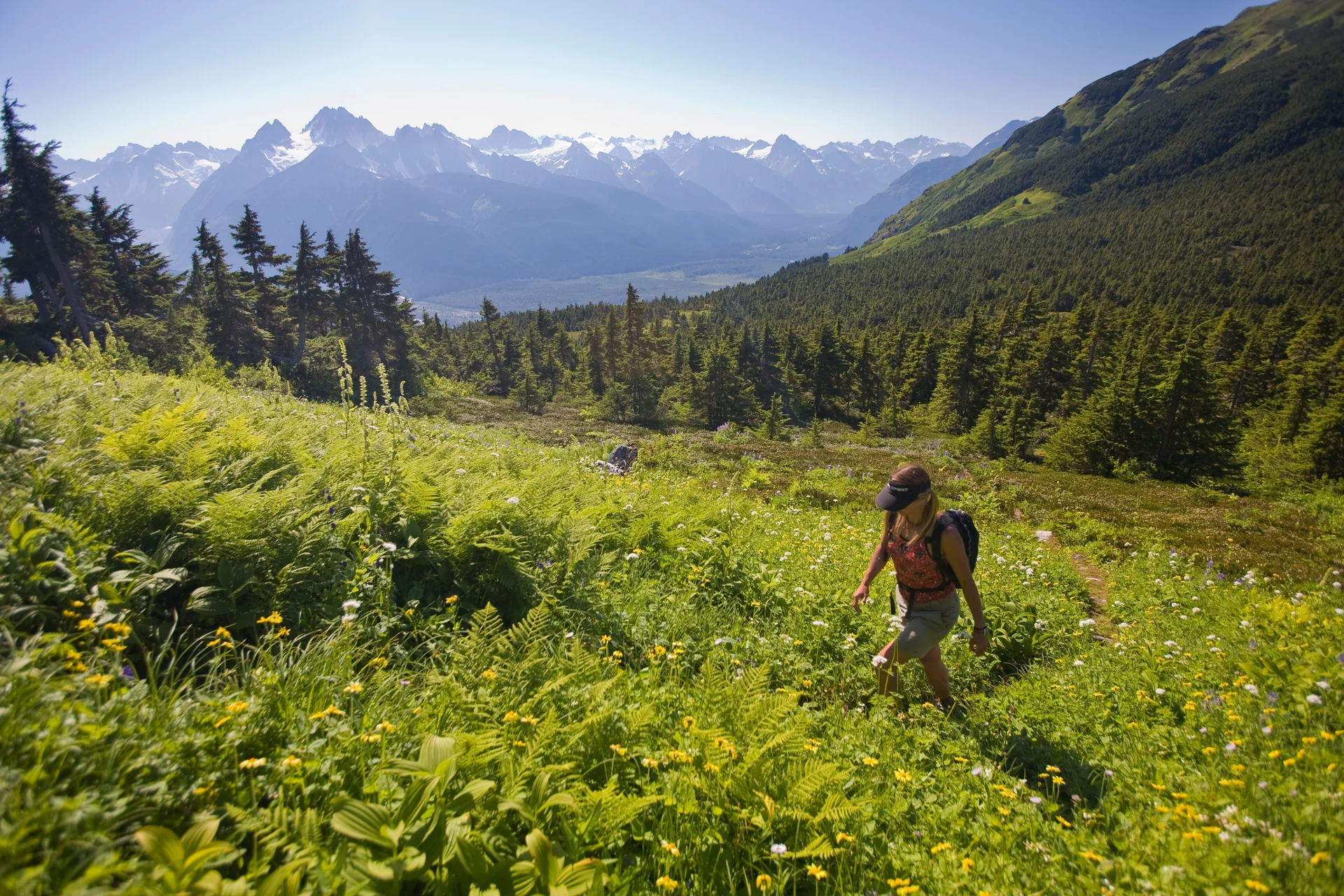 Alaska Cruise and Expedition 2025 2026 | HX Hurtigruten Expeditions US