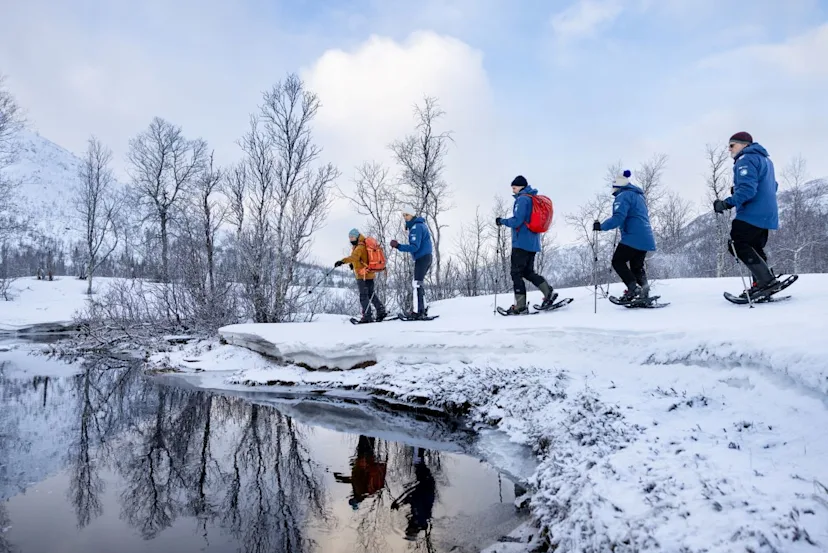 Expedition unter Magischem Nordlicht 2026 2027 | HX Hurtigruten ...