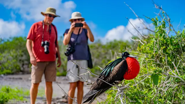 What To Pack For A HX Expedition