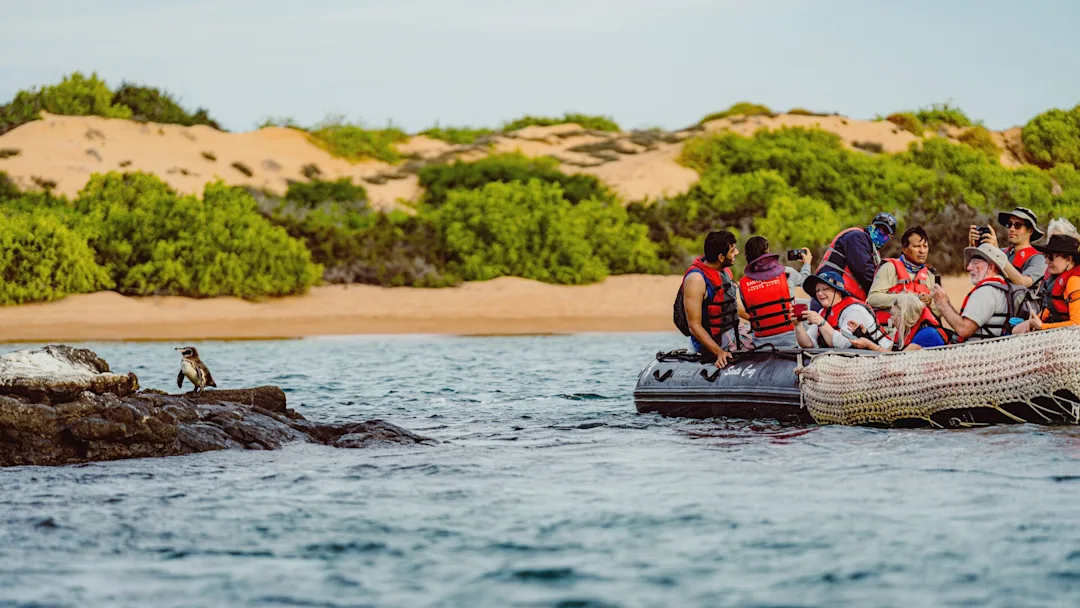 Cruises To Galápagos | Trips to the Galápagos Islands | Hurtigruten ...