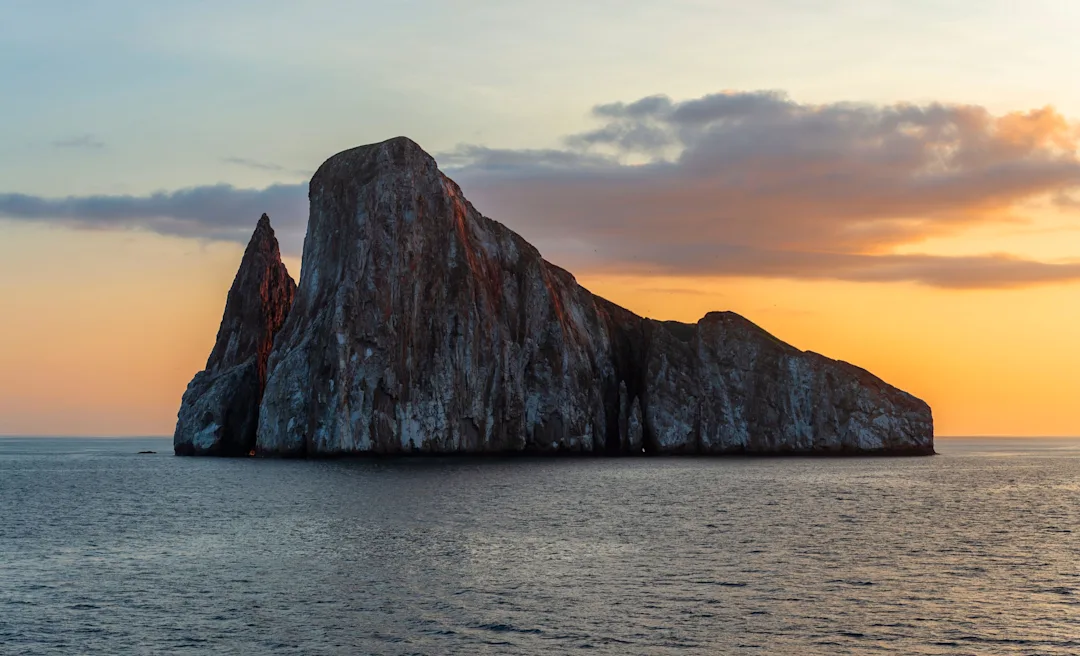 Plants and rocks: A Special Bond | HX Hurtigruten Expeditions