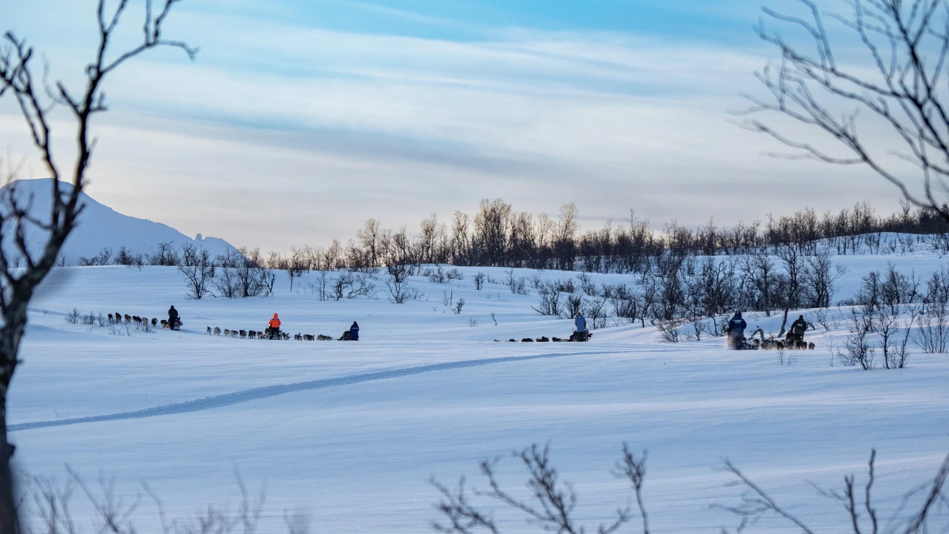 Arctic Expedition under the Northern Lights 2026 2027 | HX Hurtigruten Expeditions