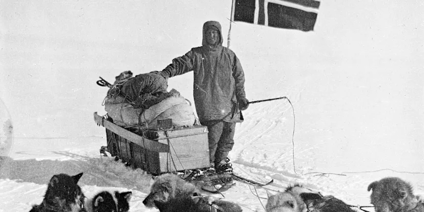 8 facts you didn't know about polar bears | HX Hurtigruten Expeditions UK