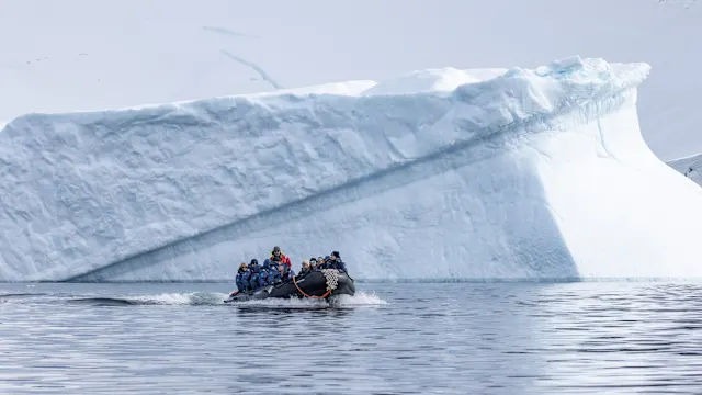 Highlights of Antarctica Cruise 2026 2027 2028 | HX Expeditions