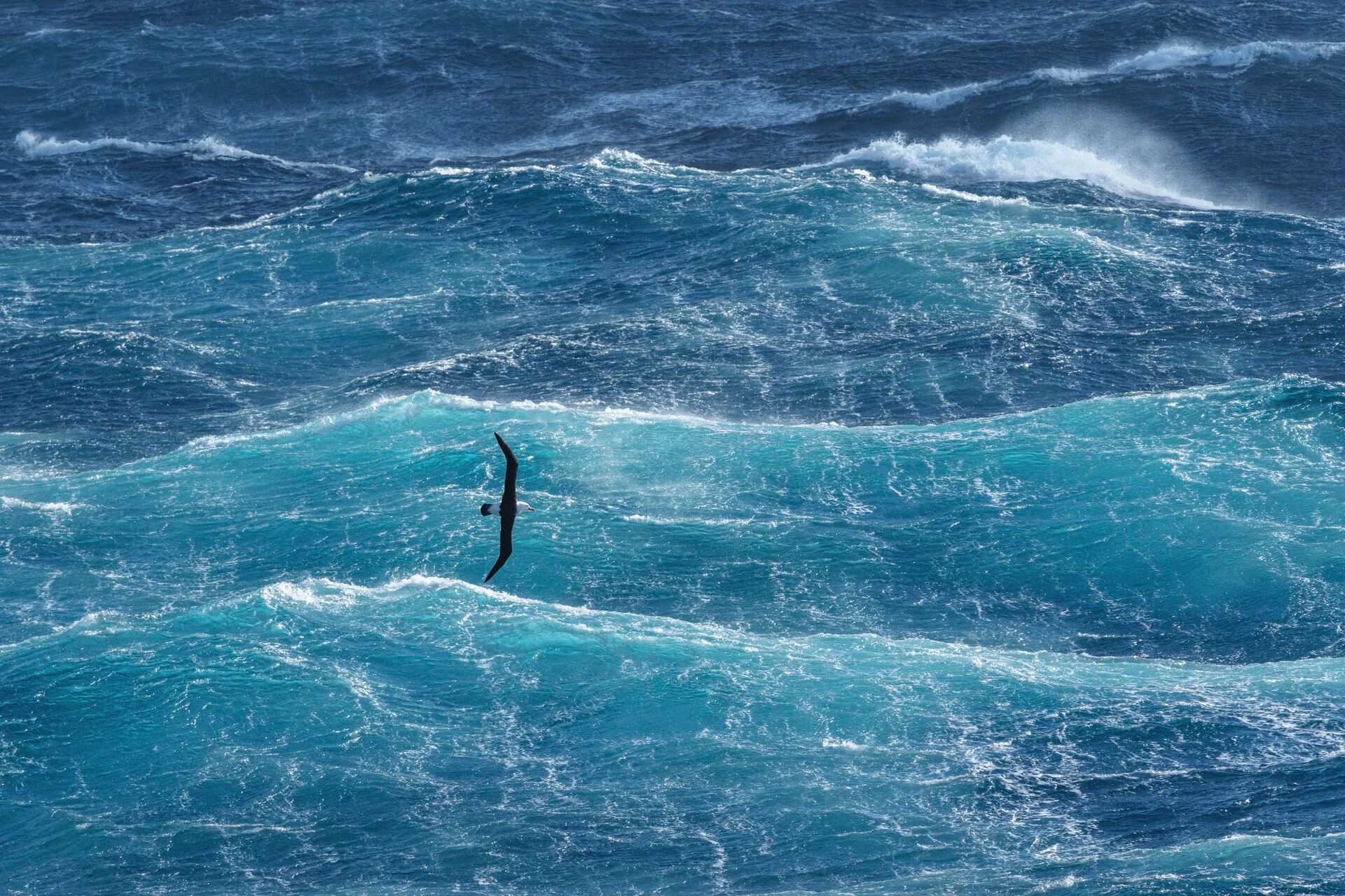 Elephant Island: Five Facts You Need to Know | HX Hurtigruten ...