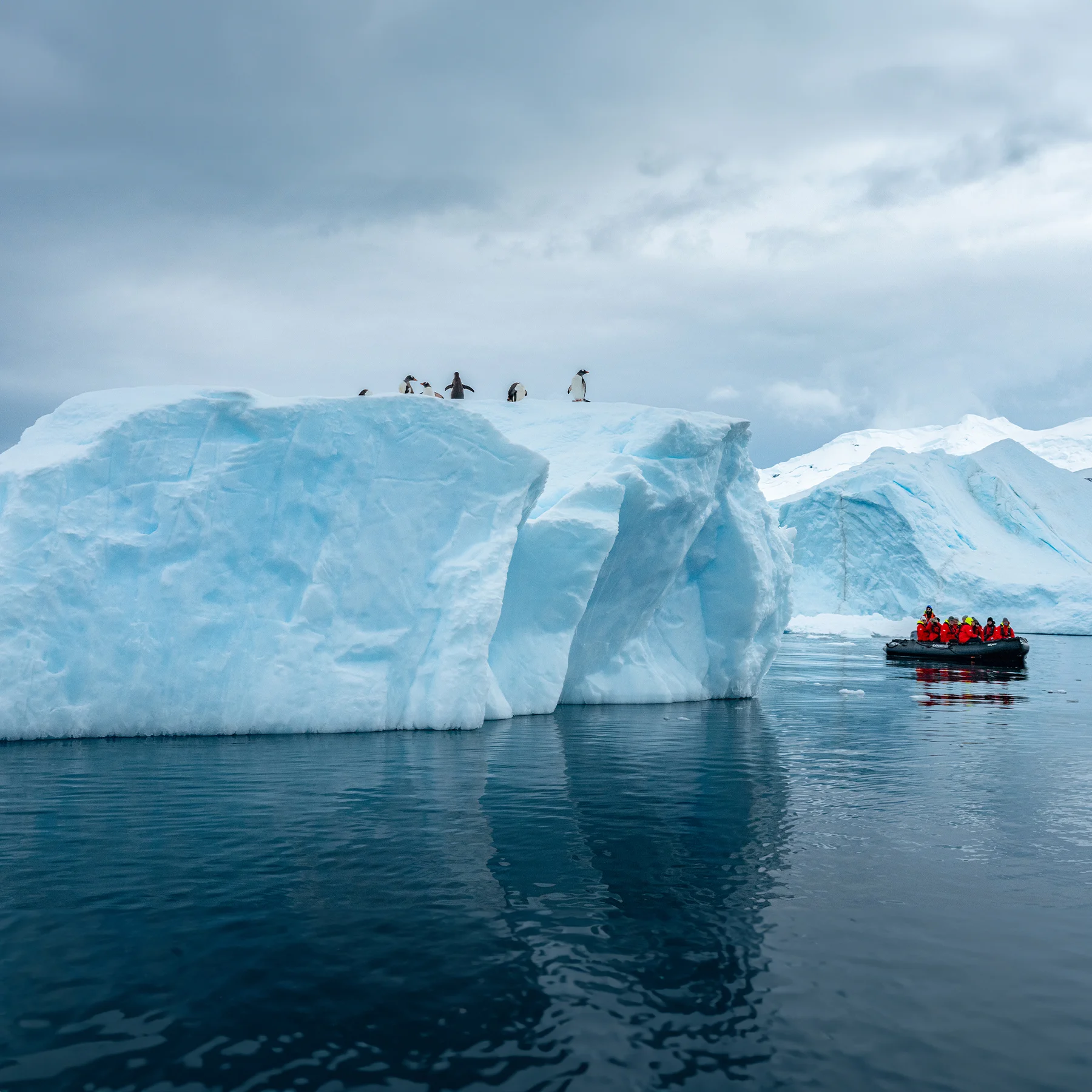 Resa till Antarktis och Falklandsöarna | HX Hurtigruten Expeditions SE