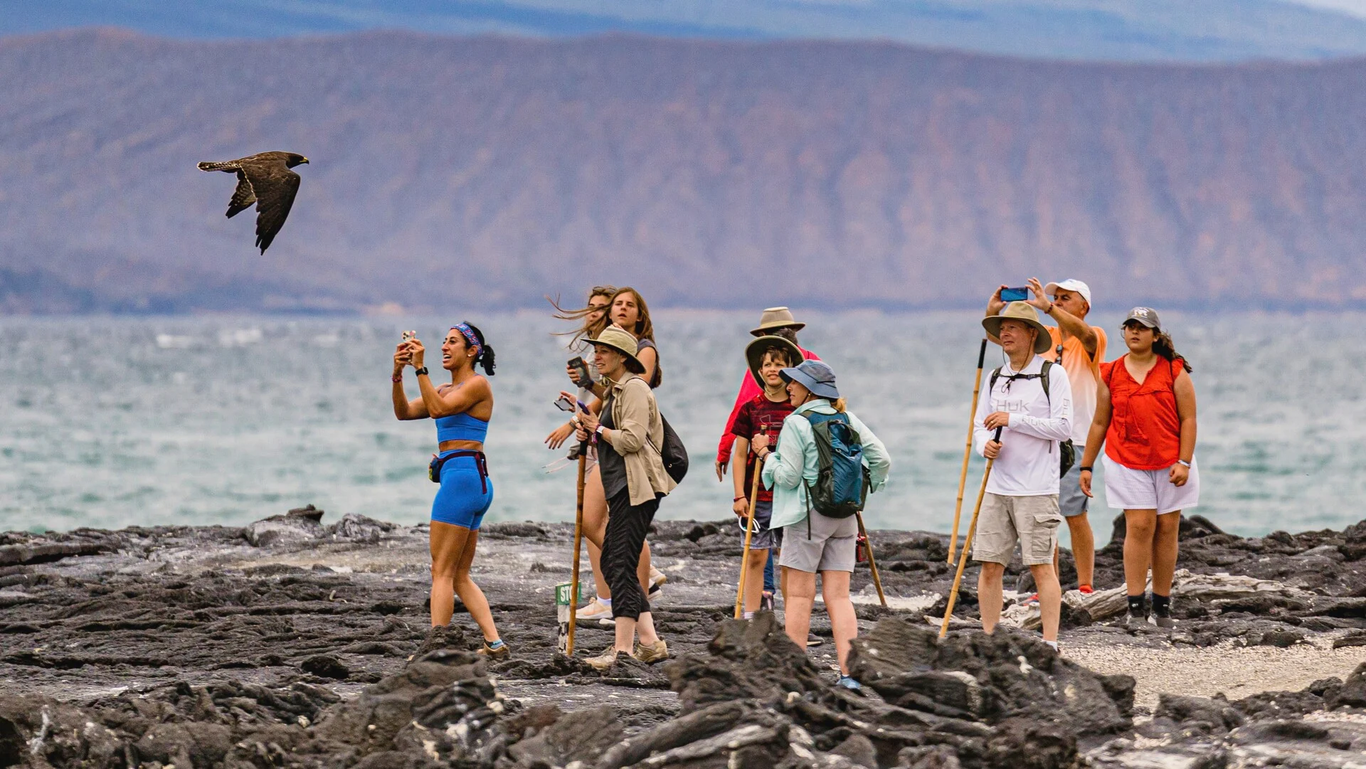Was Sie Für Eine HX Hurtigruten Expedition Einpacken Sollten